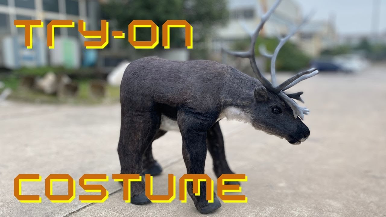 Reindeer Costume Try-on! | Dinosaur Daily - YouTube