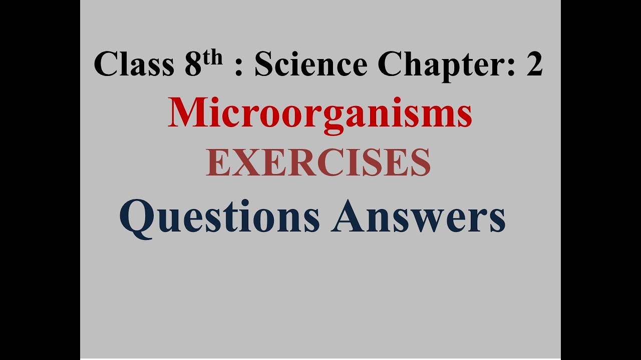 8th Class Science Chapter 2 Microorganisms Questions Answers - YouTube