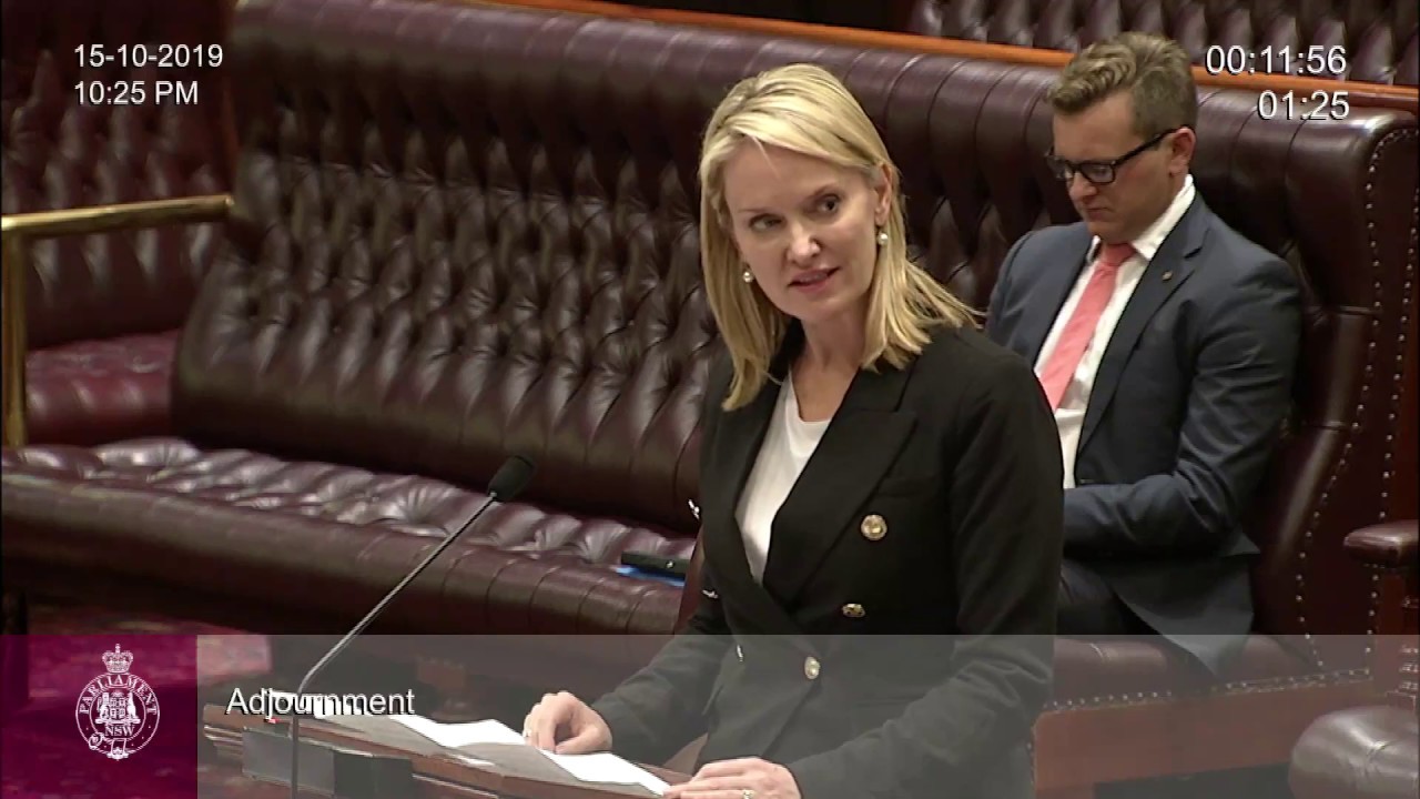 Natalie Ward MLC speaks in NSW parliament about the rise of ...