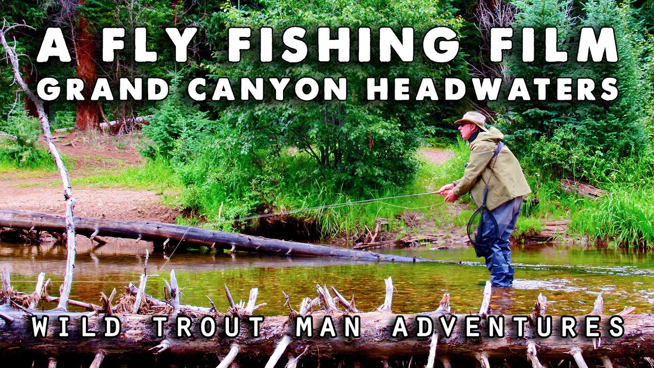 A FLY FISHING FILM - Grand Canyon Headwaters - YouTube