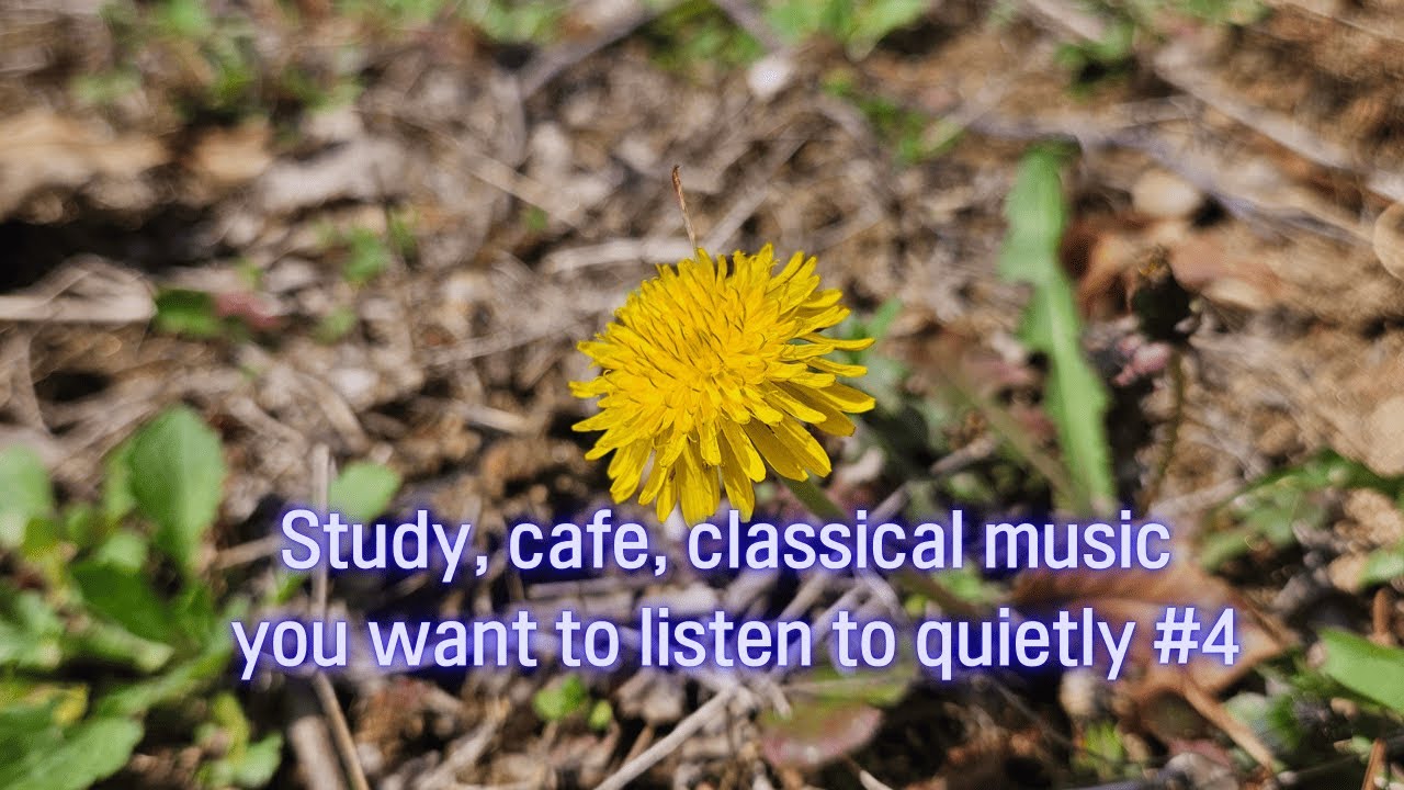 Study, cafe, classical music you want to listen to quietly #4 - YouTube