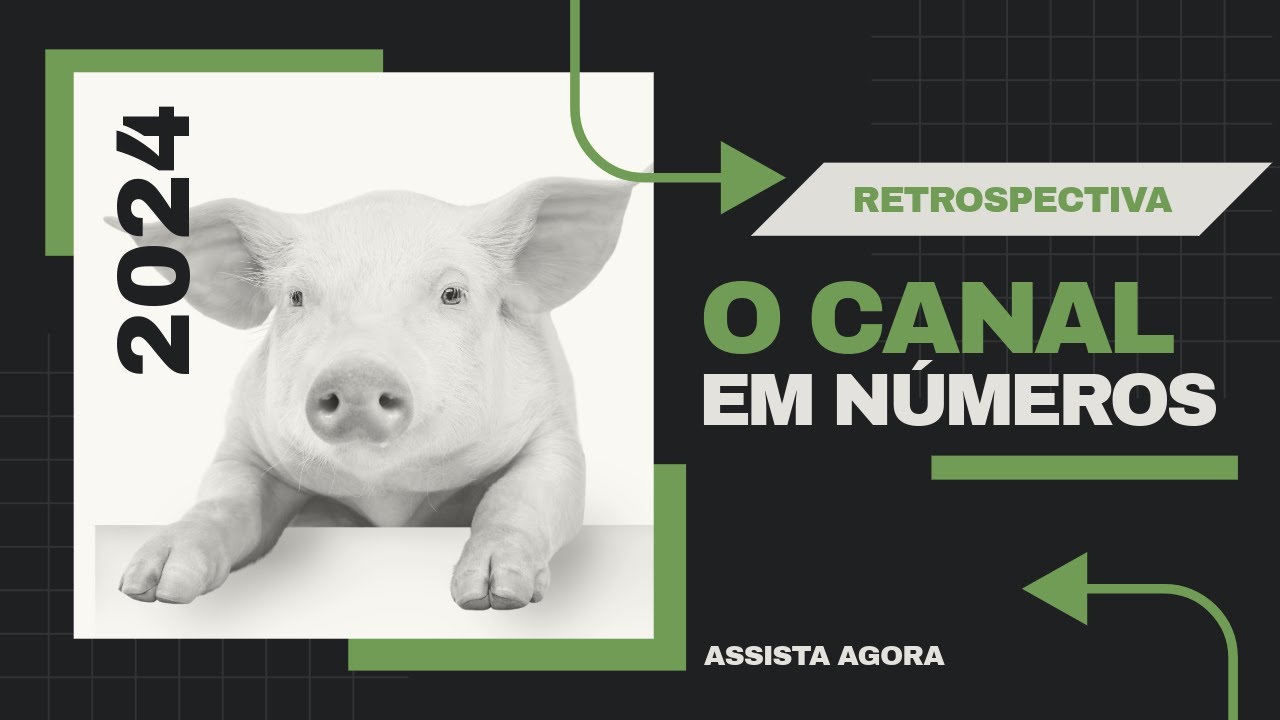 QUANTO GANHAMOS COM O CANAL EM 2024 - RETROSP 24 - YouTube