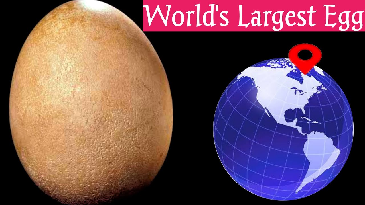 World's Largest Egg found on Google Earth |Fine Earth - YouTube