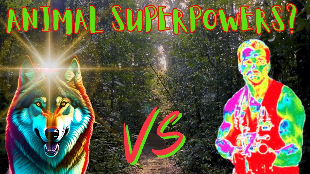 Animals with superpowers? #animals #facts - YouTube