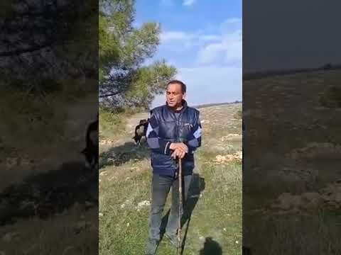 Allah senden razi olsun kardeşim muhteşem bir şiir yazmiş