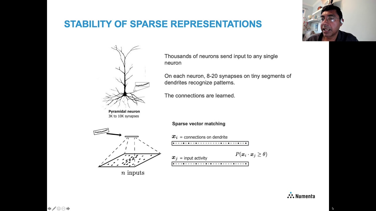 CVPR 2020 Workshop on Continual Learning - Subutai Ahmad's presentation ...