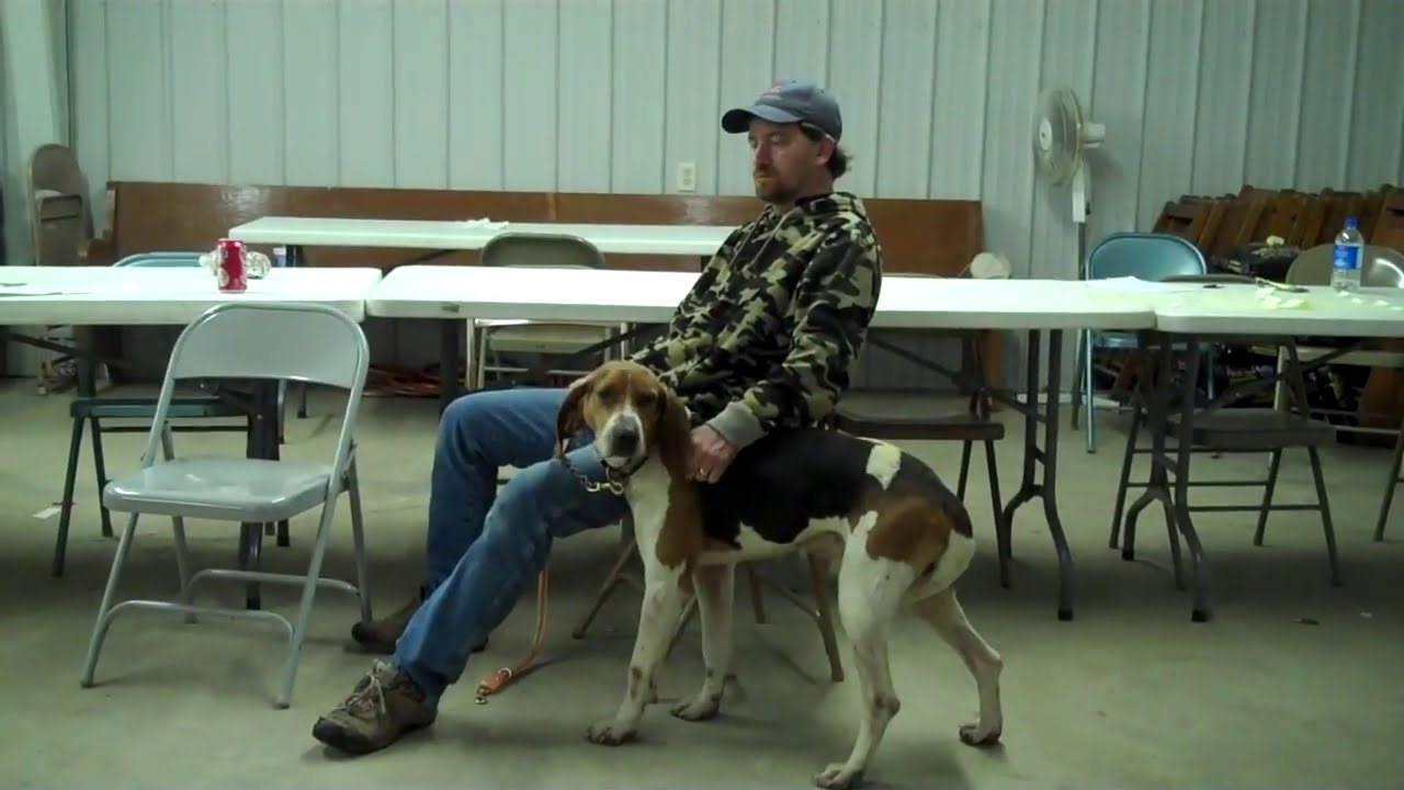 2011 UKC American Black & Tan Days | United Kennel Club - YouTube