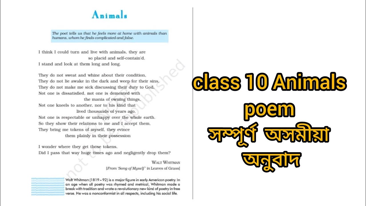 Class 10 chapter's 6 poem#Animals poem in Assamese#অসমীয়া অনুবাদ# ...