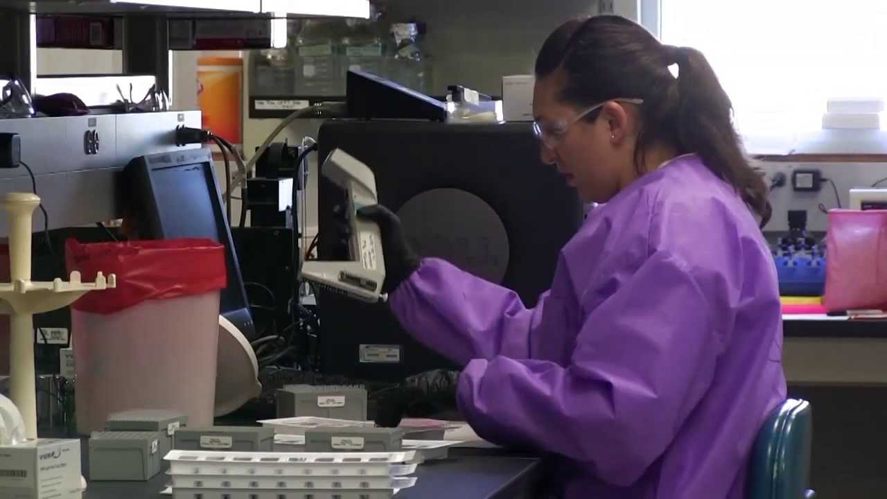 Kansas State Rabies Lab Validates Assays for New Rabies Biologic - YouTube