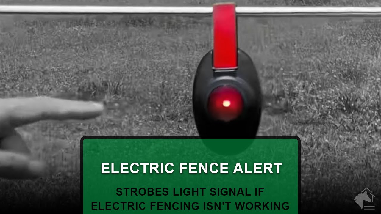 Electric Fence Alert 🚨 - YouTube