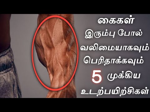 HOW TO INCREASE HAND POWER | HOW TO INCREASE FOREARMS SIZE IN HOME ...