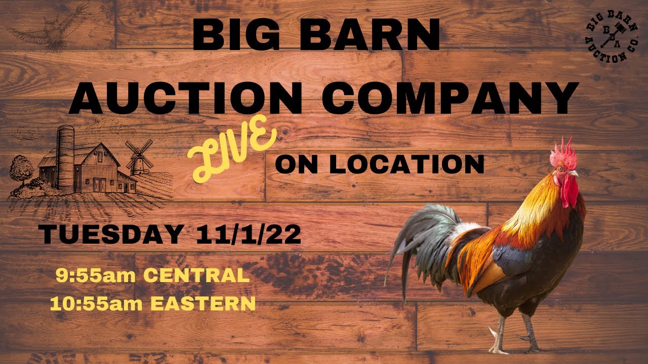 LIVE AUCTION ON LOCATION 11/1/22 - YouTube