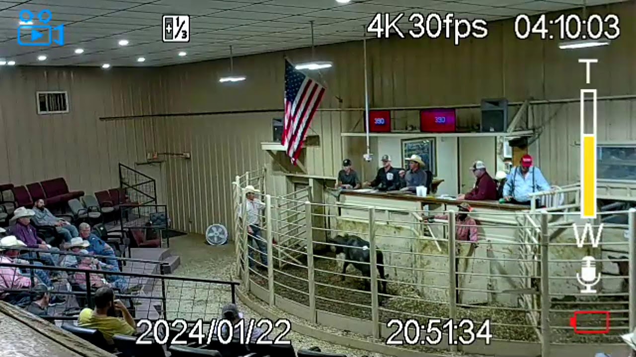 Red River Livestock - YouTube