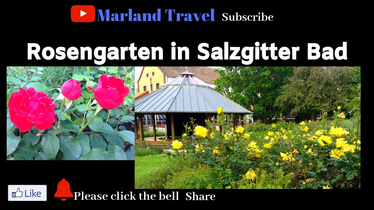 Roses garden Salzgitter-Bad Germany | Rosengarten (Germany) # ...