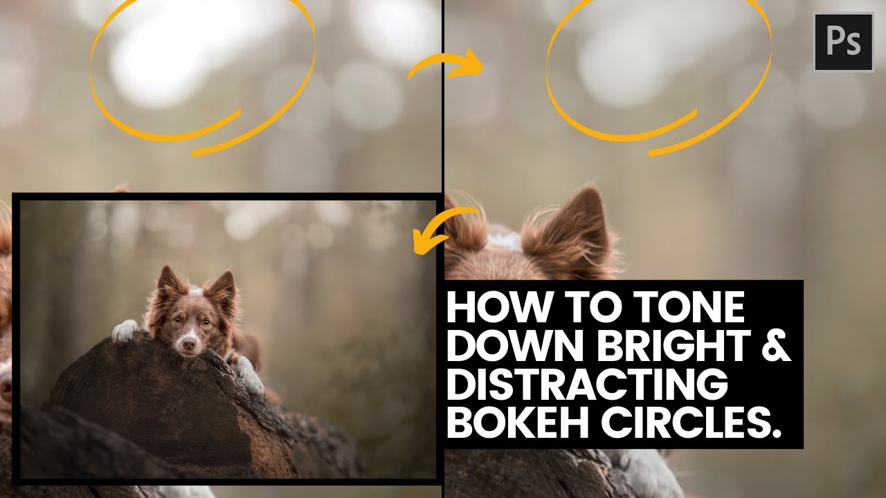 HOW TO TONE DOWN Bright and Distracting Bokeh in Portrait Backgrounds ...