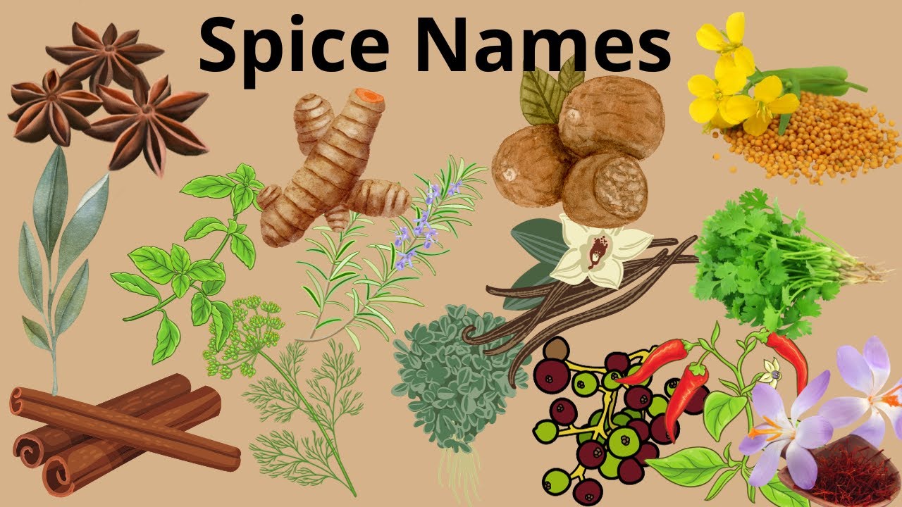 Spice Names| Spice Whiz - Learn Spice Names with Kids Storybook Cottage ...