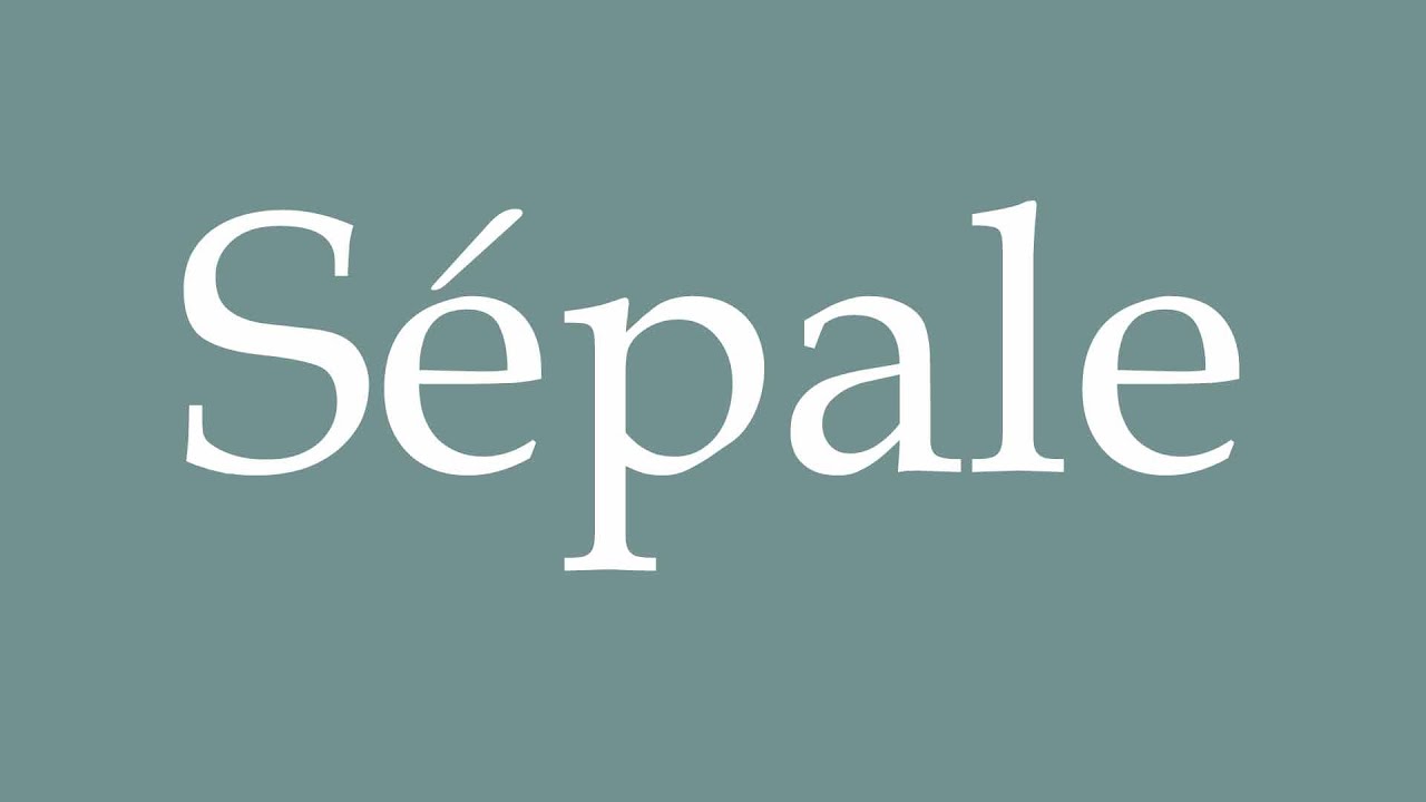 How to Pronounce ''Sépale'' (Sepal) Correctly in French - YouTube