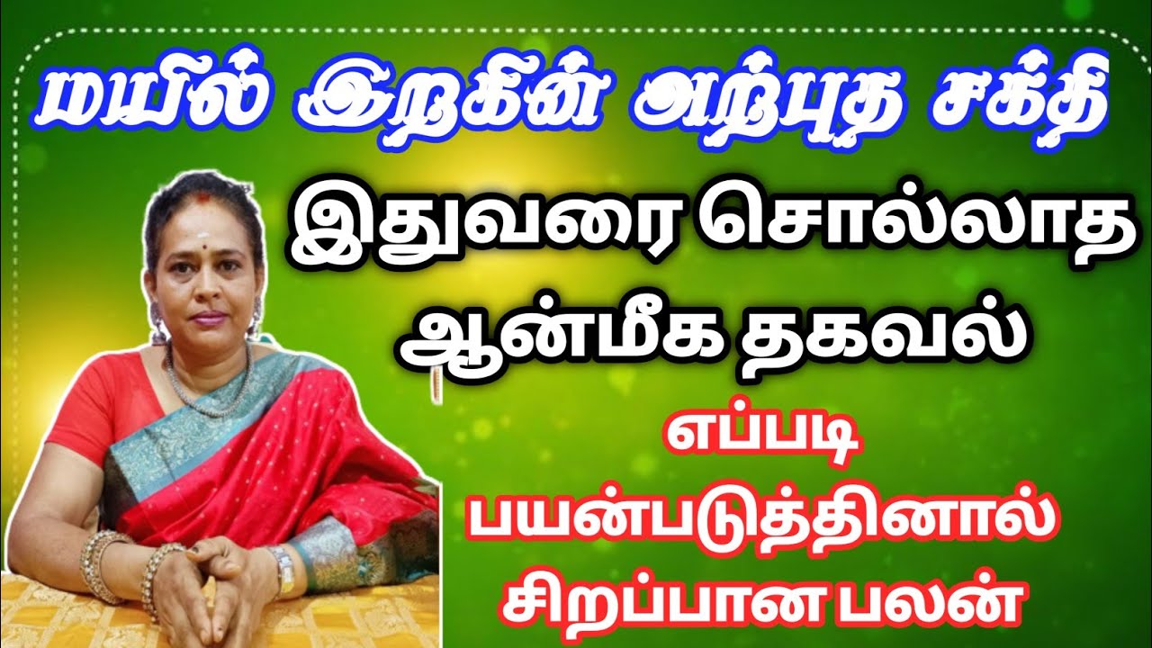 மயிலிறகின் அற்புத சக்தி இதுவரை சொல்லாத ஆன்மீக தகவல்கள் | mayil iragu ...