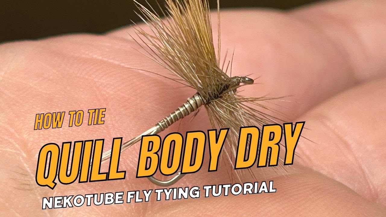 Quill body dry #12 - YouTube