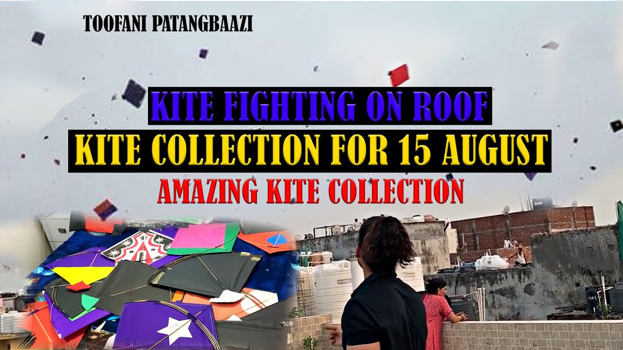 Kite collection for independence day / kite festival in delhi/ kite fighting on 11 august ...