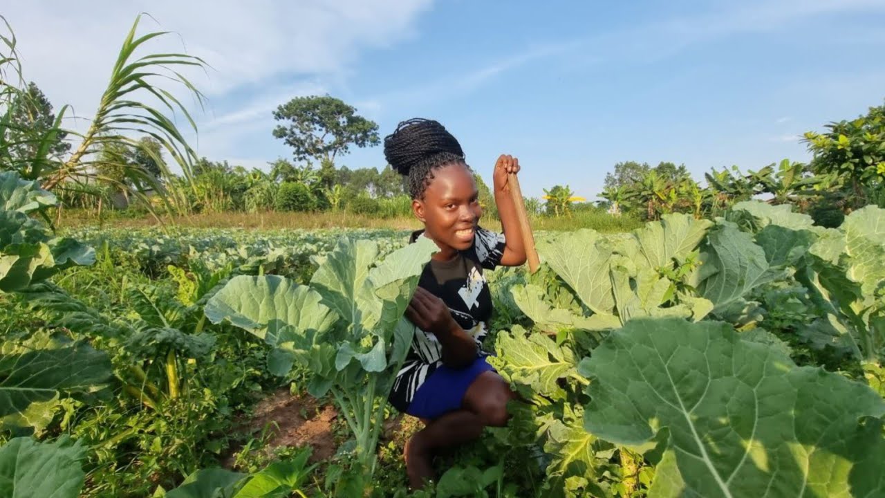 Small Scale Backyard Vegetable Garden Tour: How I Make Money on a Small ...