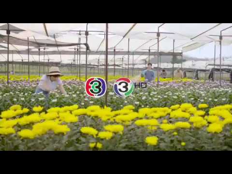 Tayland Klip-Aşkım Olur Musun?