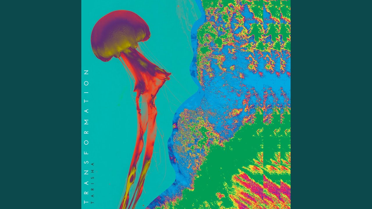 Transformation (Breakcore) - YouTube