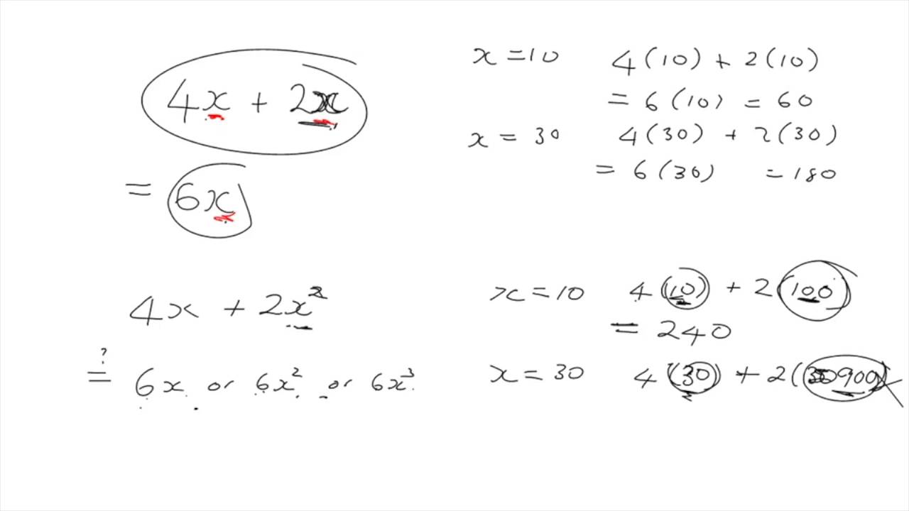 Algebraic expressions: Vocab and like terms - YouTube