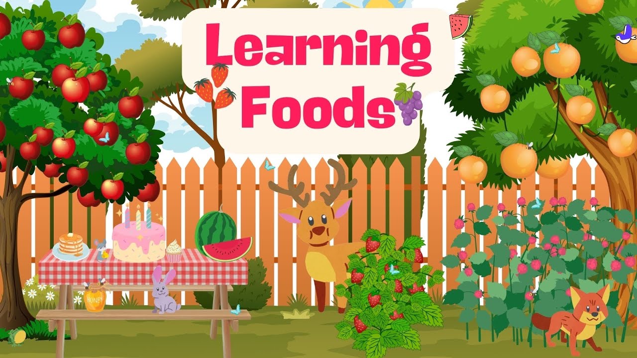 FOODS FOR TODDLERS / Learn Different Kinds Of foods! Learning For ...