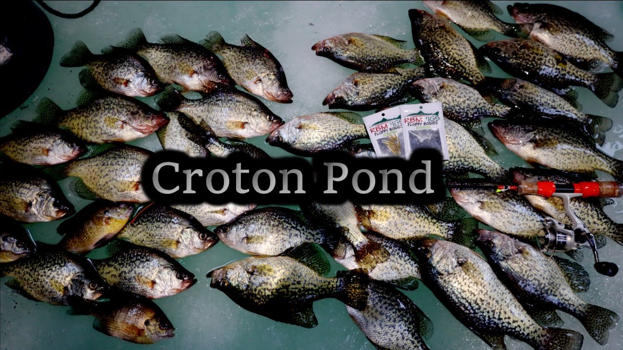 Crappie Cleanup - Croton Pond - (Plastic Baits and Tungsten Jigs ...