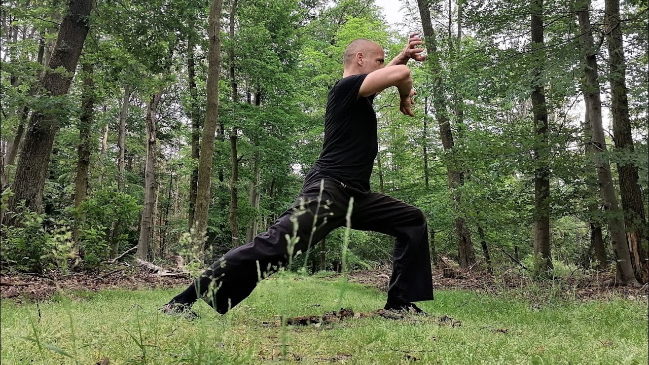 Shaolin Tiger und Drachen Qi Gong Demo - YouTube