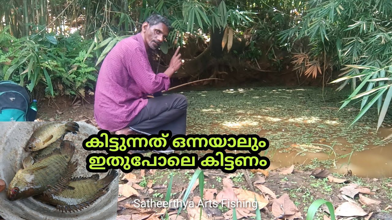 Amazing Indian Hook Fishing/Hand Fishing /Kerala Village Fishing ...