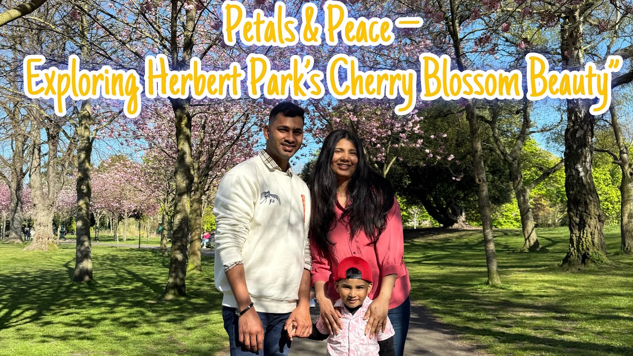 #mnbstories #herbert #park Petals & Peace _ Exploring Herbert Parks Cherry blossoms Beauty - YouTube