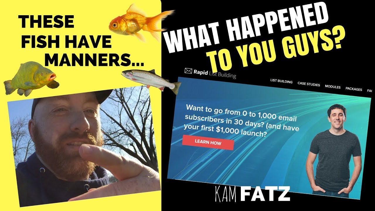 These fish have manners... - YouTube