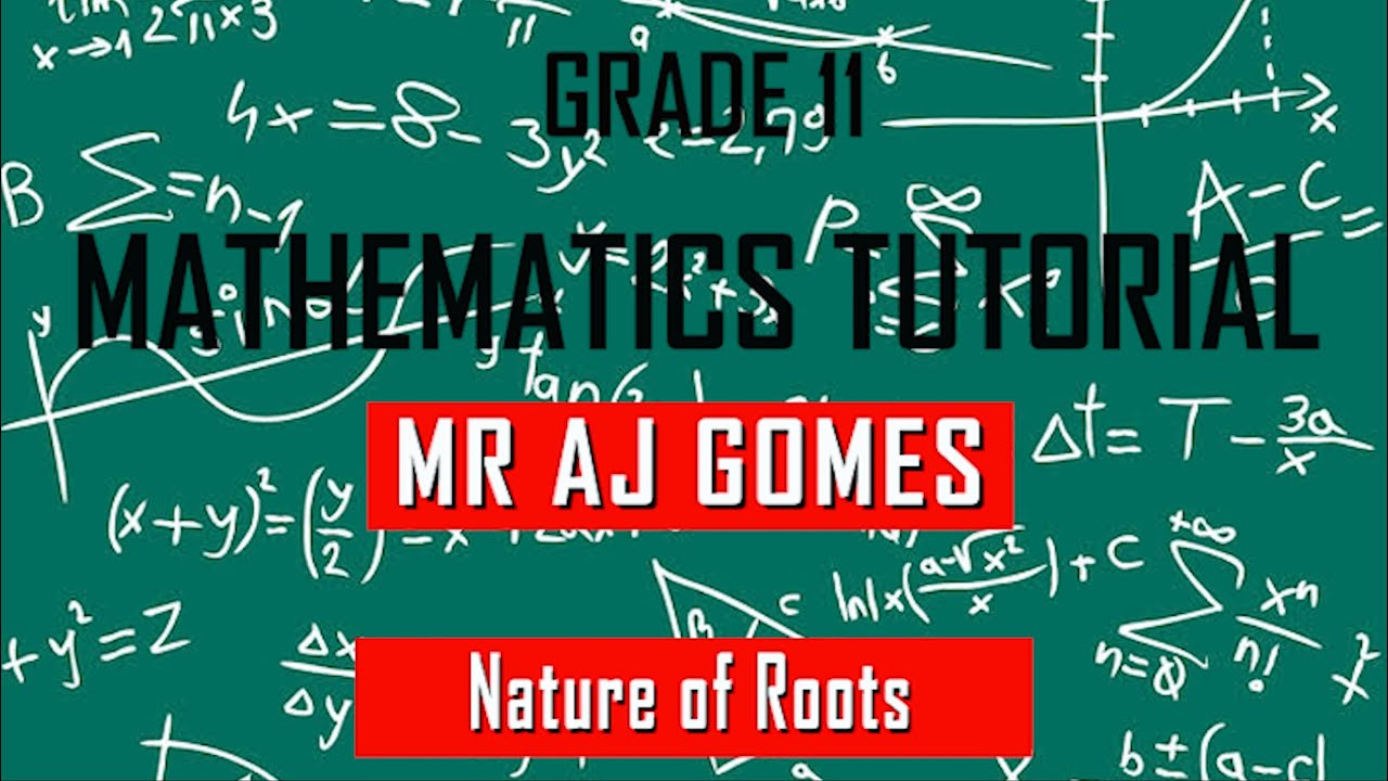 Nature of Roots (Grade 11 Maths) - YouTube