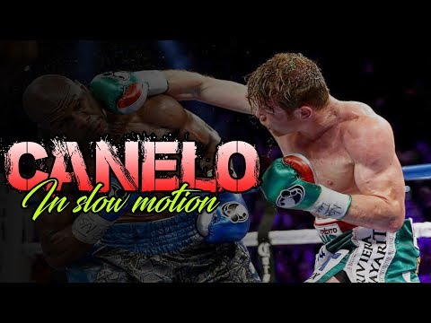 In Slow Motion | Saul Alvarez ( Canelo )