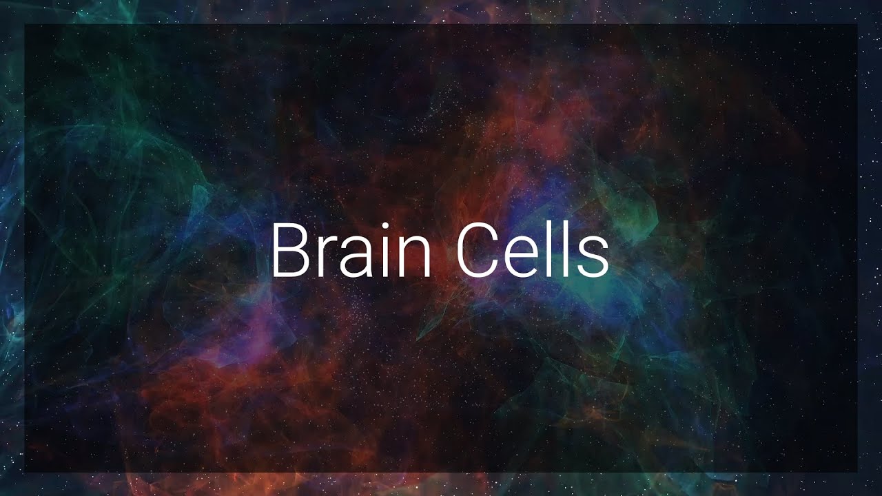 Christos Andreou - Braincells - YouTube