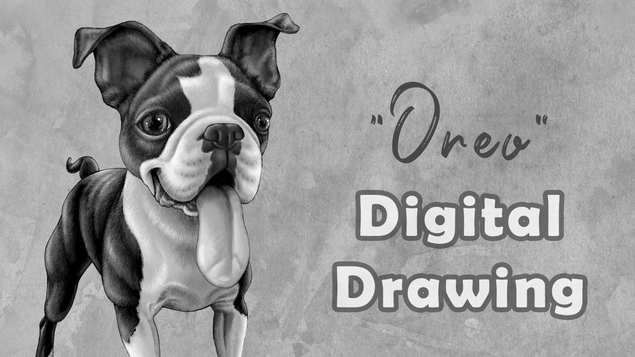 Drawing of Oreo - YouTube