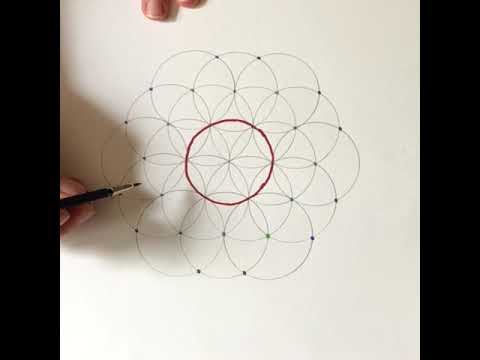 Dessiner une fleur de vie au compas pour la 1 ère fois : Tuto pour les débutants - Flower of Life