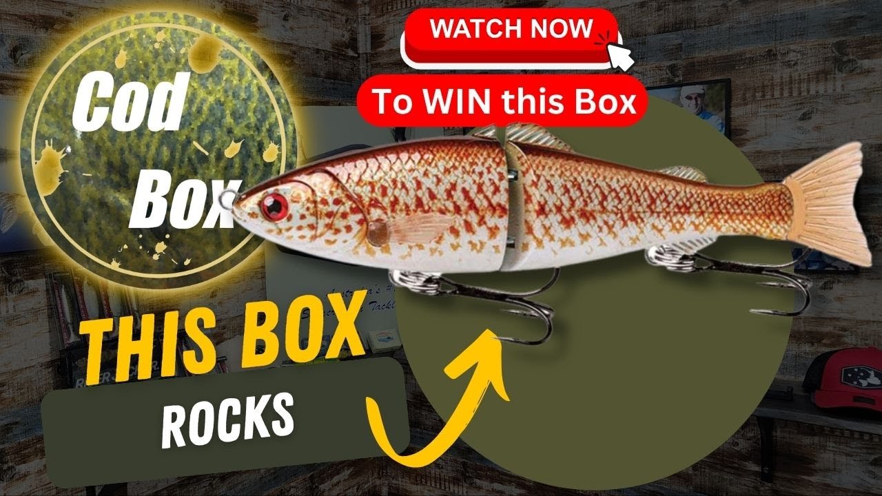 Tackle Club Cod Box February 2024, Wind Down Summer With These Lures ...