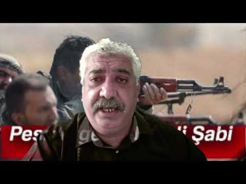 Kasım Süleymani nin öldürülmesi ve Haşdi Şabi Örgütü : Ortadoğuyu Anlamak