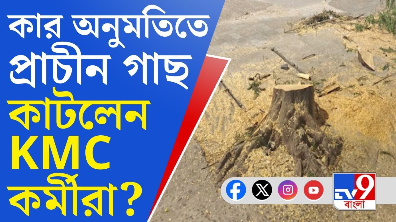 RG Kar Tree Issue: আরজি করে ৮০ বছরের পুরনো ২টি গাছ কাটা নিয়ে বিতর্ক ...