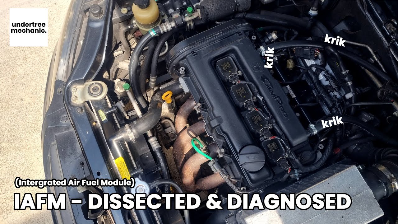 Why/How does Proton IAFM fail (CAMPRO Intake Manifold) - Dissected ...