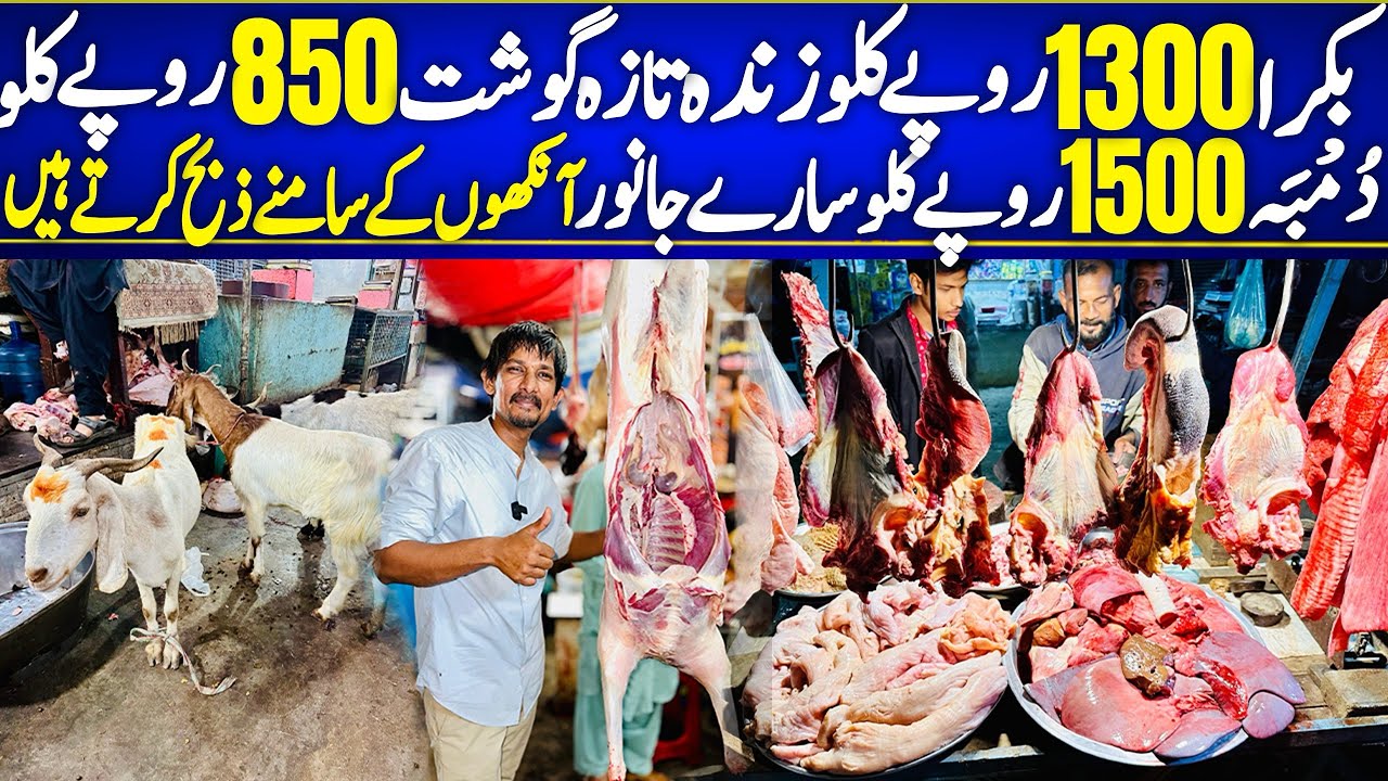 Bakra 1300 Kg | Fresh Meat 850 Kg | Dumba 1500 Kg | Apnai Samnai Zubah ...