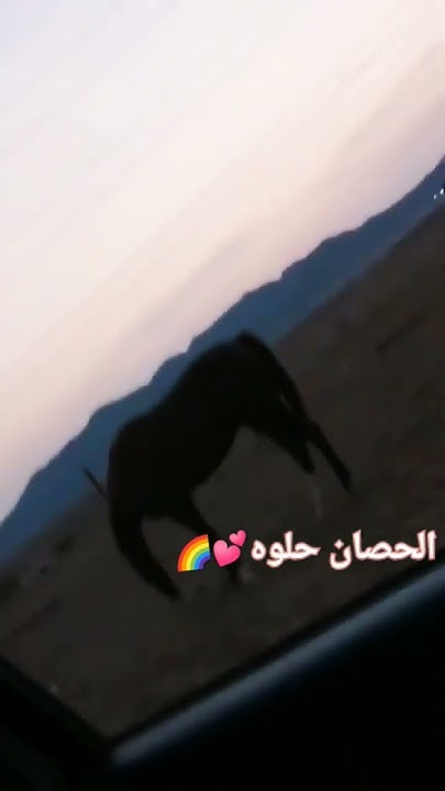 احضان حلوه 💕🐴 Youtube