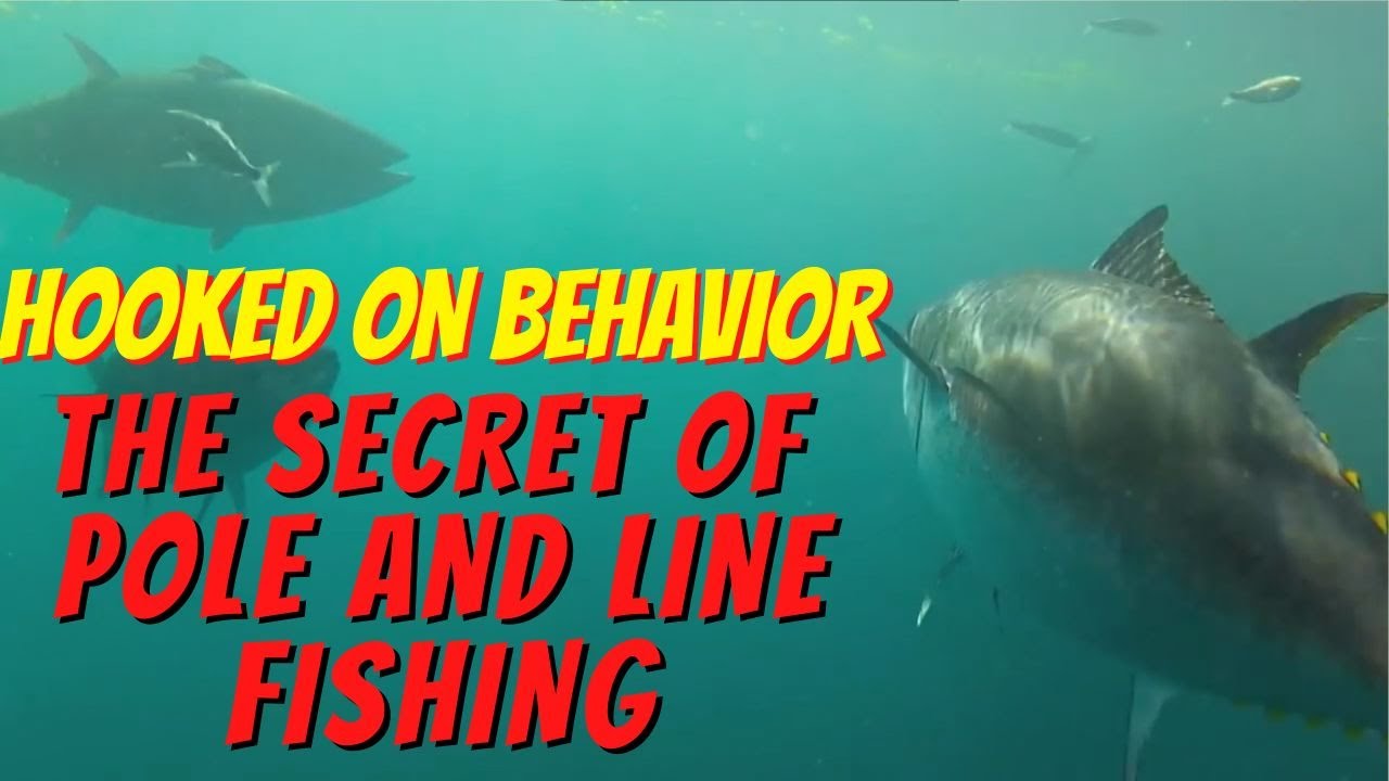 Hooked On Behavior: The Secret of Pole And Line Fishing - YouTube