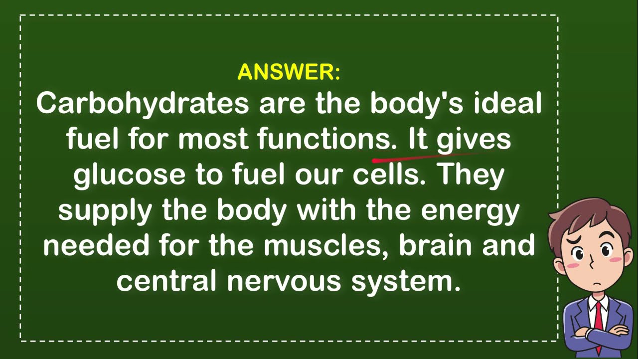 what is the main function of carbohydrates - YouTube