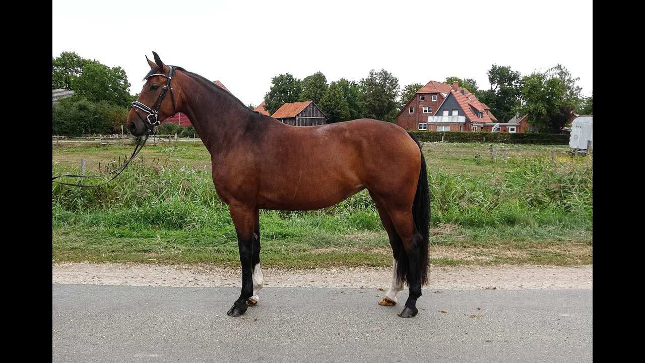 www.stall-rode.de - YouTube