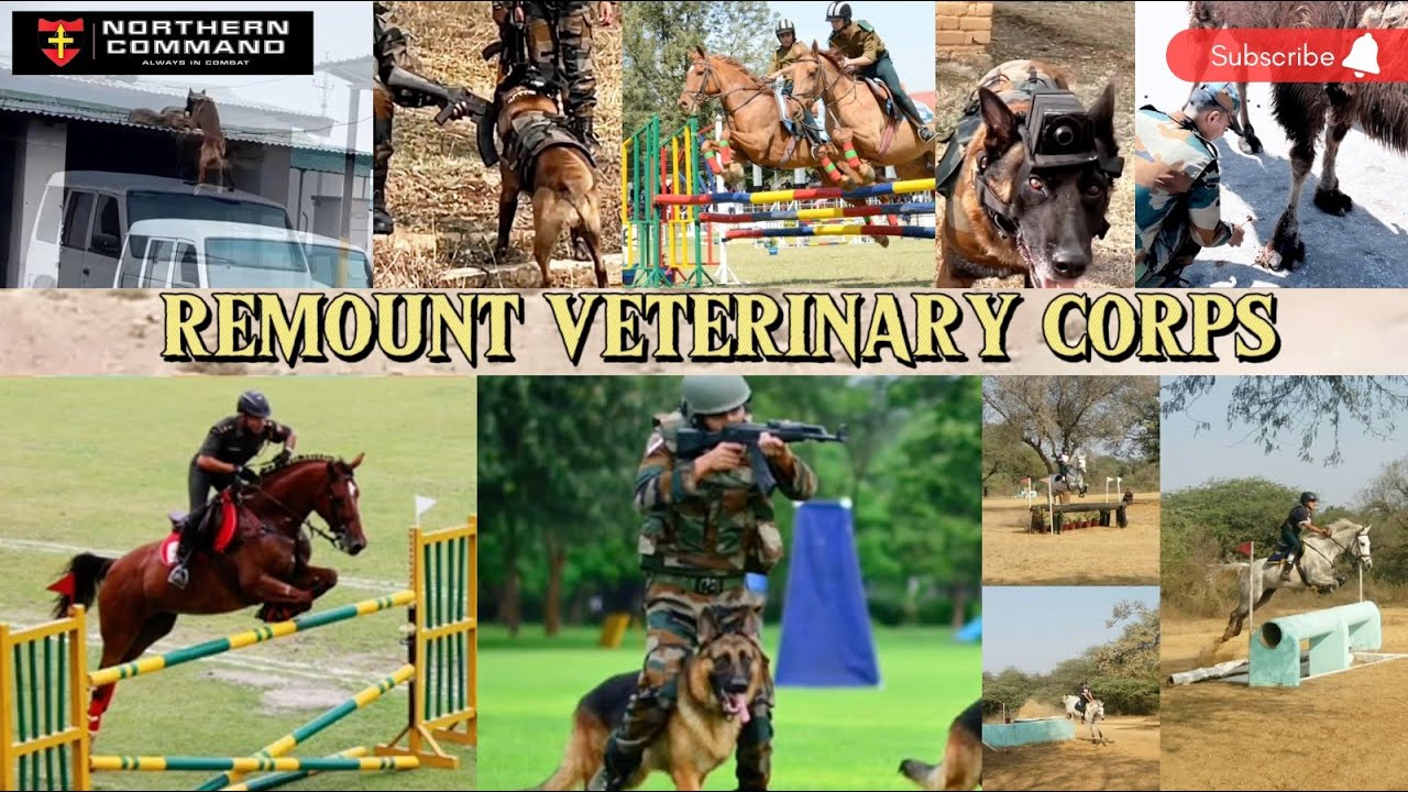 RVC | 𝙬𝙝𝙚𝙧𝙚 𝙛𝙤𝙪𝙧 𝙬𝙝𝙚𝙚𝙡𝙨 𝙘𝙖𝙣𝙣𝙤𝙩 𝙩𝙧𝙚𝙖𝙙 | Indian Army - YouTube