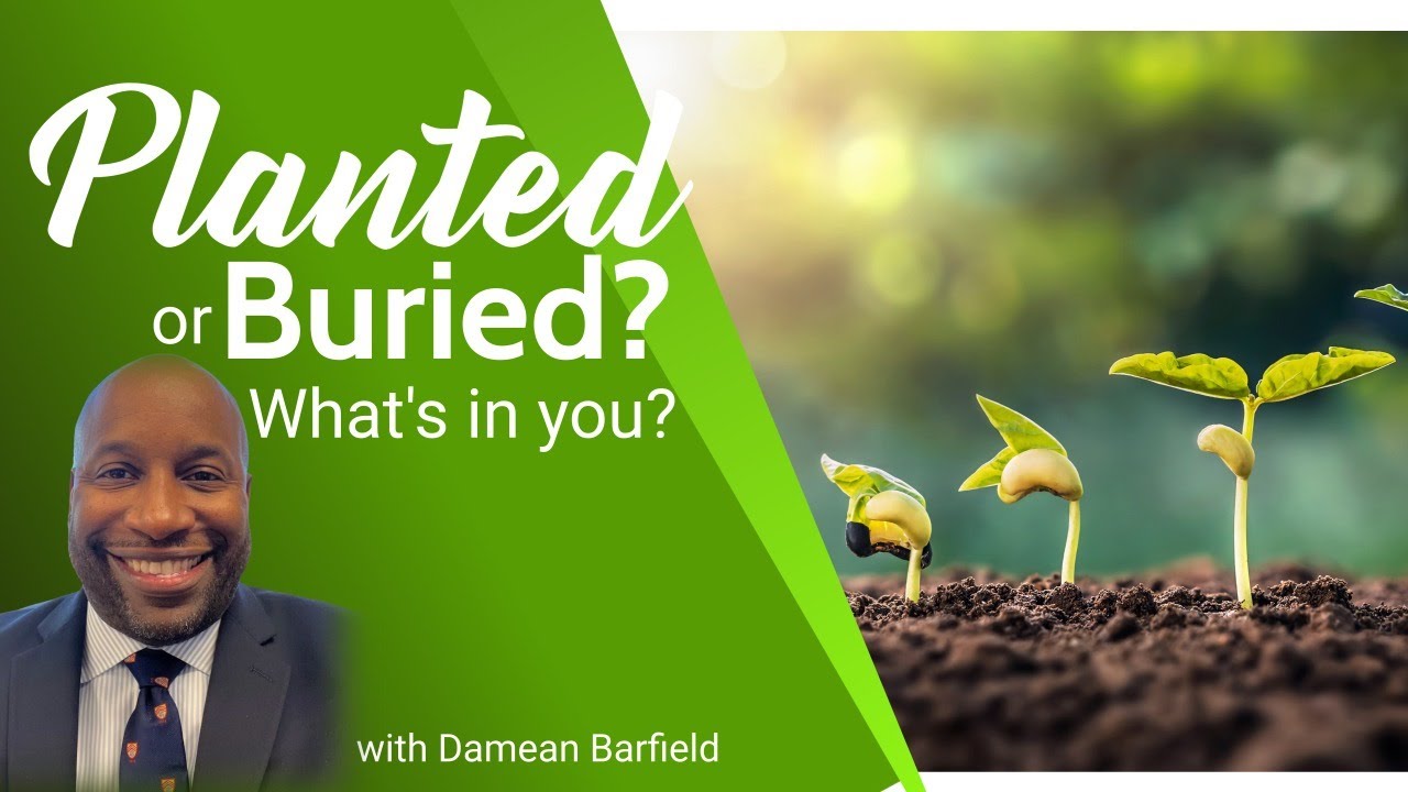 Planted or Buried? What's in You? with Damean Barfield - YouTube
